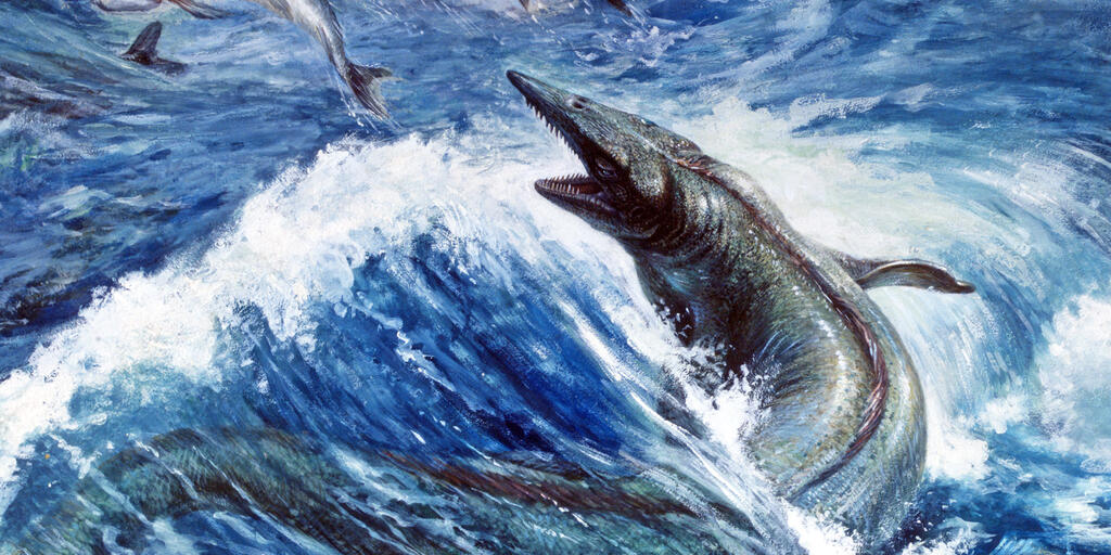 Mosasaurus
