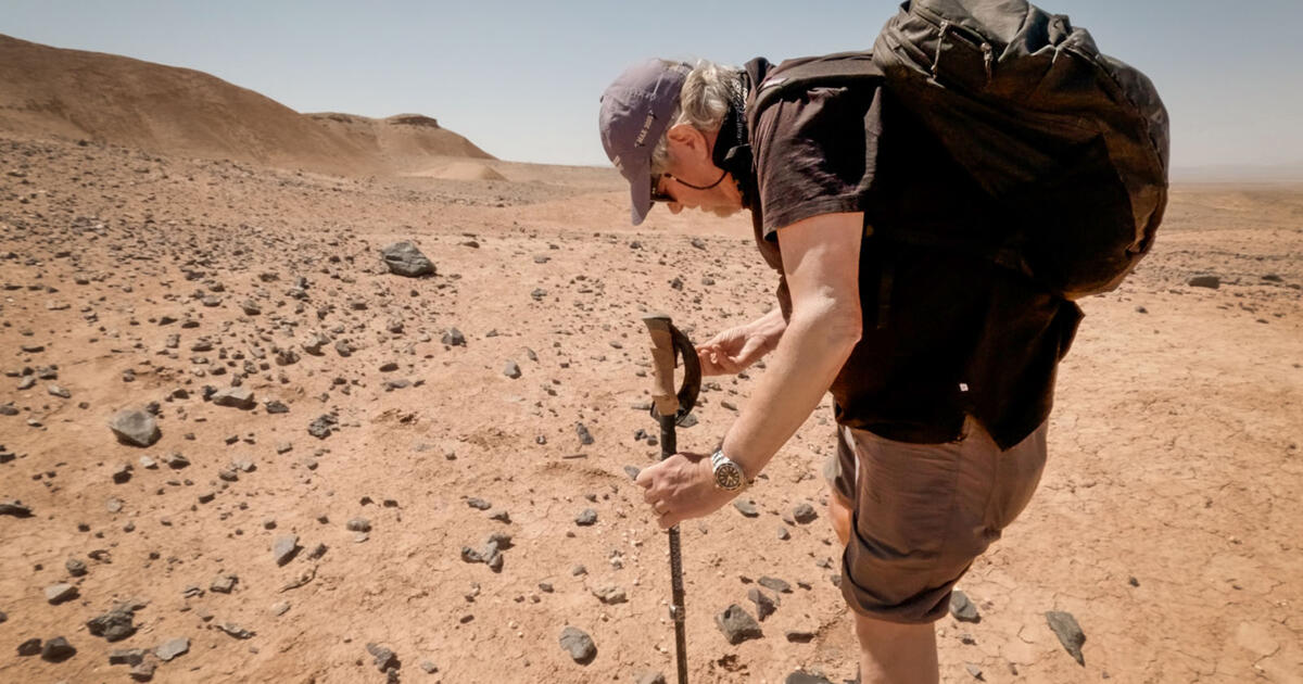 A New Window Into the Dino Extinction Event | AMNH