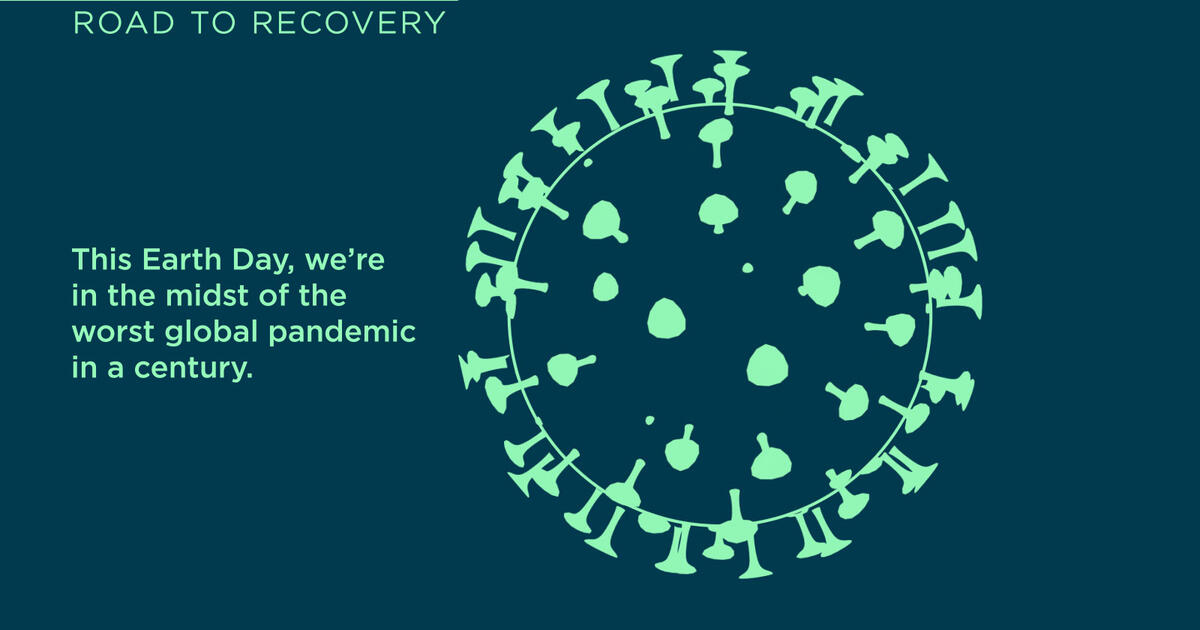 Earth Day 2021: Road to Recovery | AMNH