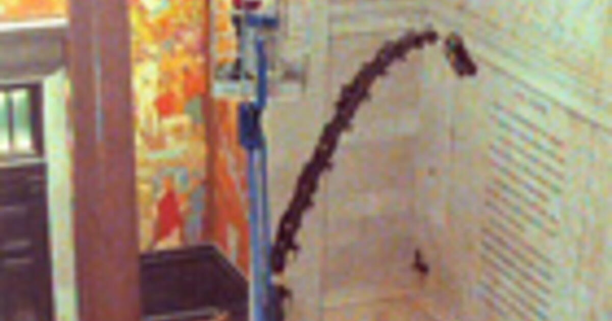 How are skeletal mounts of dinosaurs in museum exhibits built? | AMNH