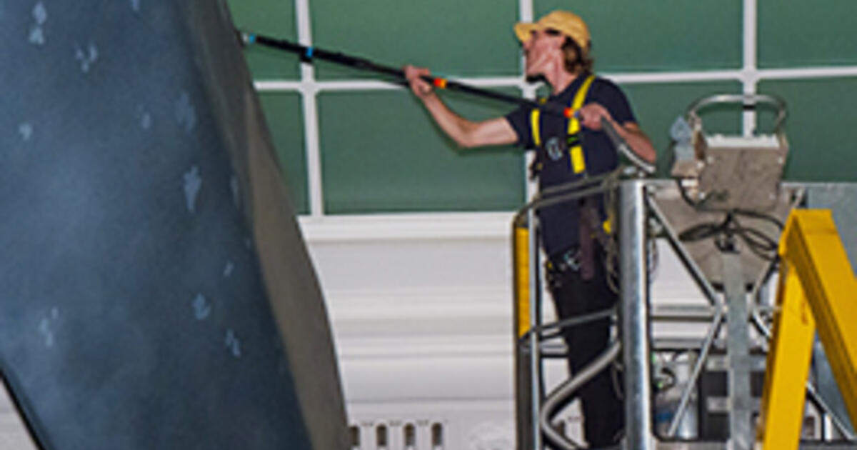 Video: Museum's Blue Whale Gets Cleaned | AMNH