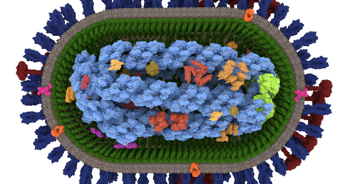 Video: Teen SciCafe Virulent Viruses | AMNH