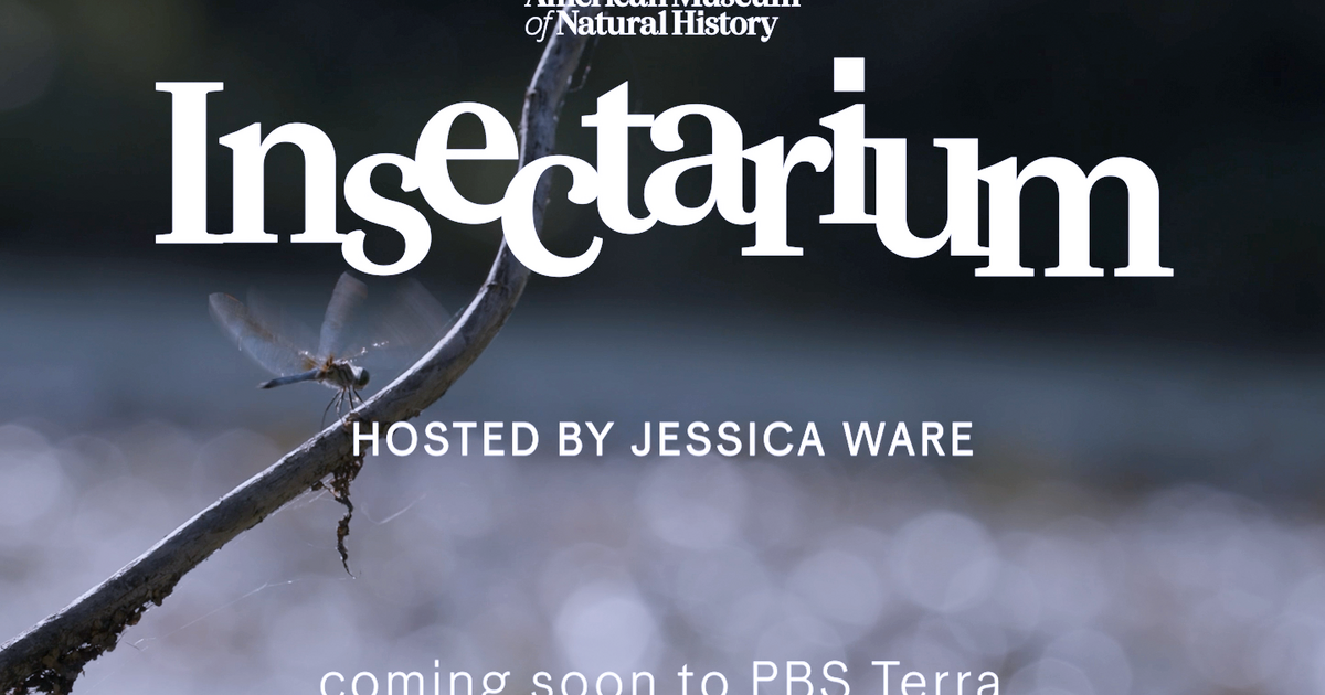 Insectarium Trailer | American Museum of Natural History