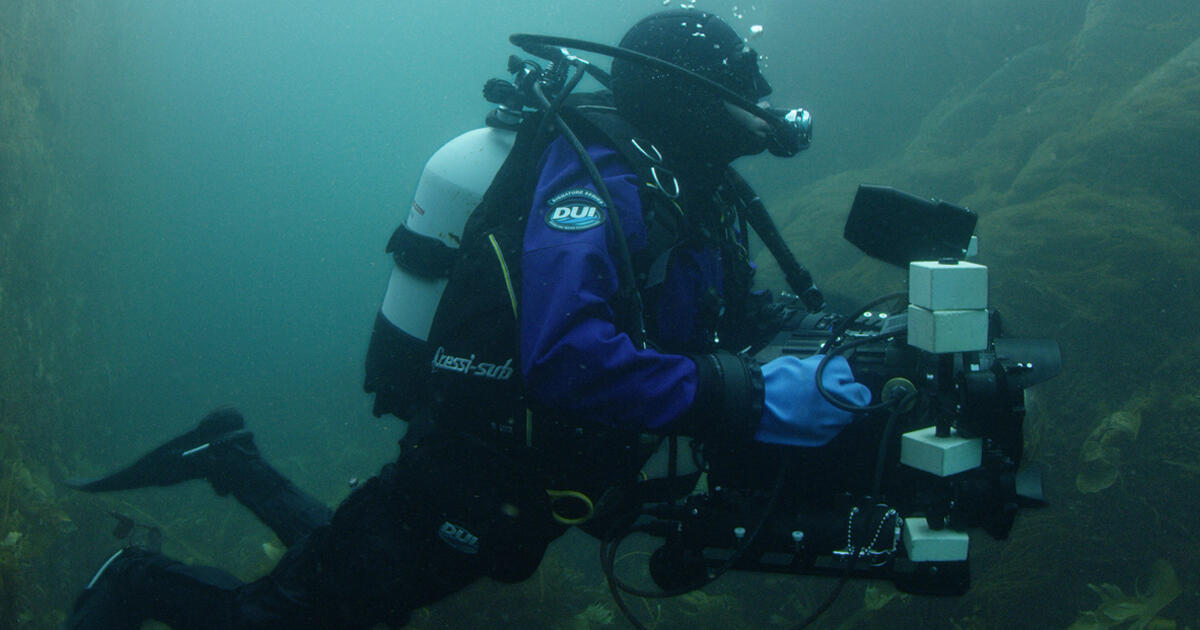 Video: Exploring Greenland's Icy Waters | AMNH