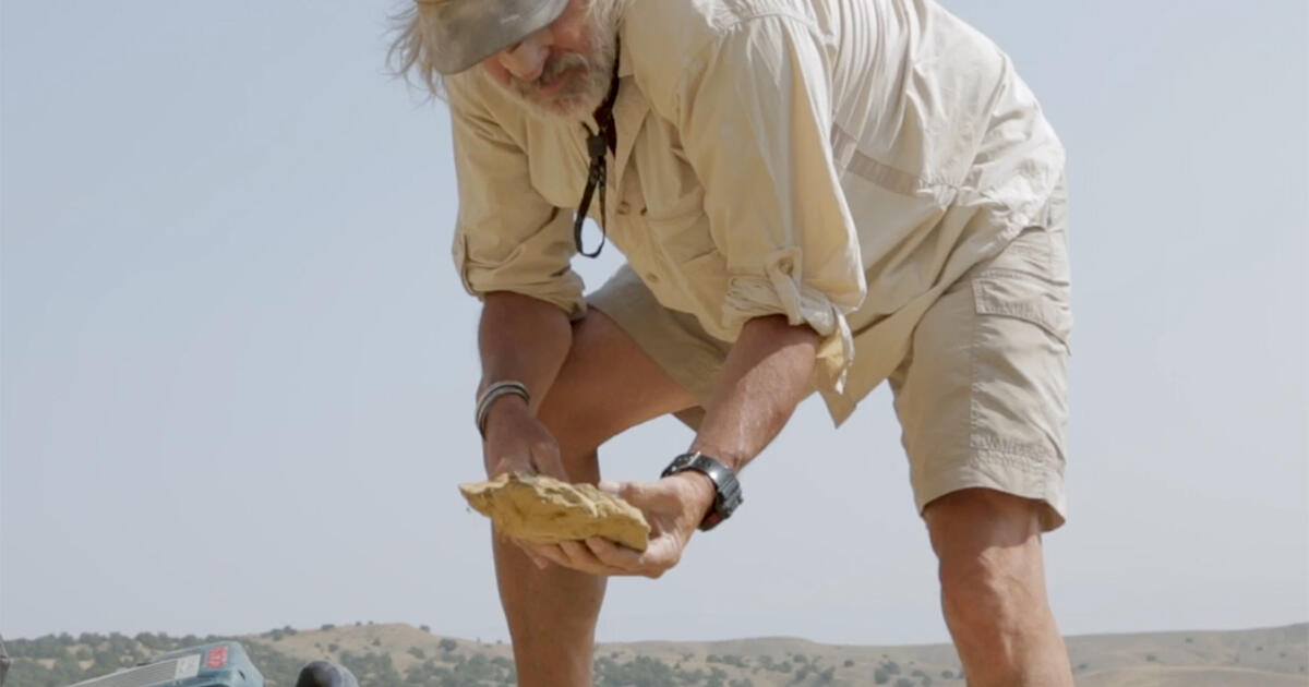 Video: Paleontologists dig for Jurassic dinosaur fossils | AMNH