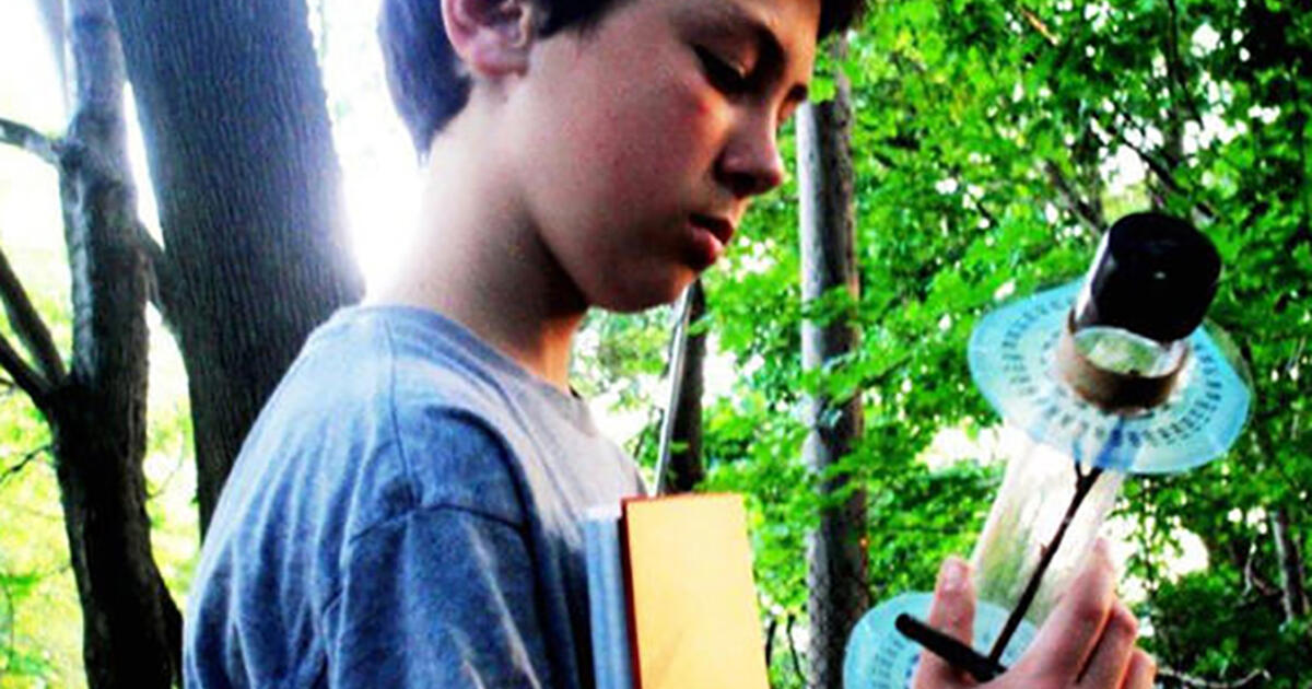 The Secret of the Fibonacci Sequence in Trees | AMNH