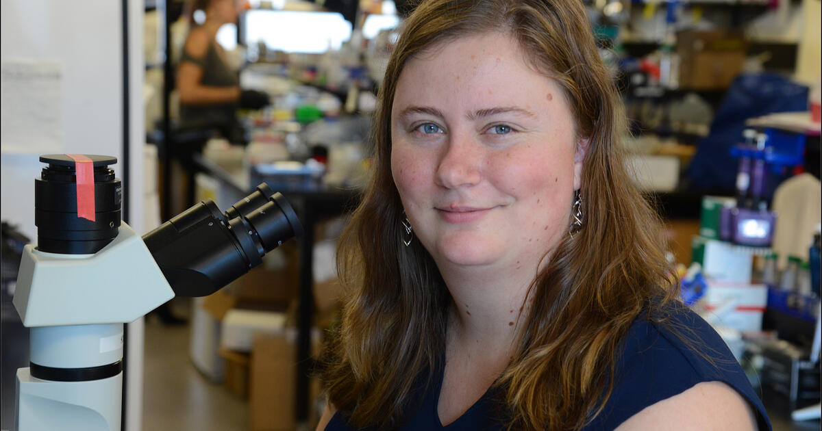 Alexandra Walling | AMNH